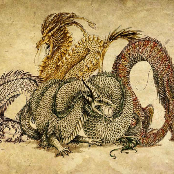 Japanese Dragon Names And Meanings Japanese Word SVG Bundle, Animal